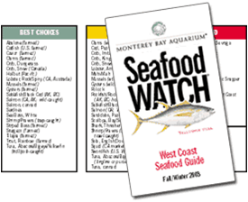 lea michele: Monterey bay aquarium seafood watch