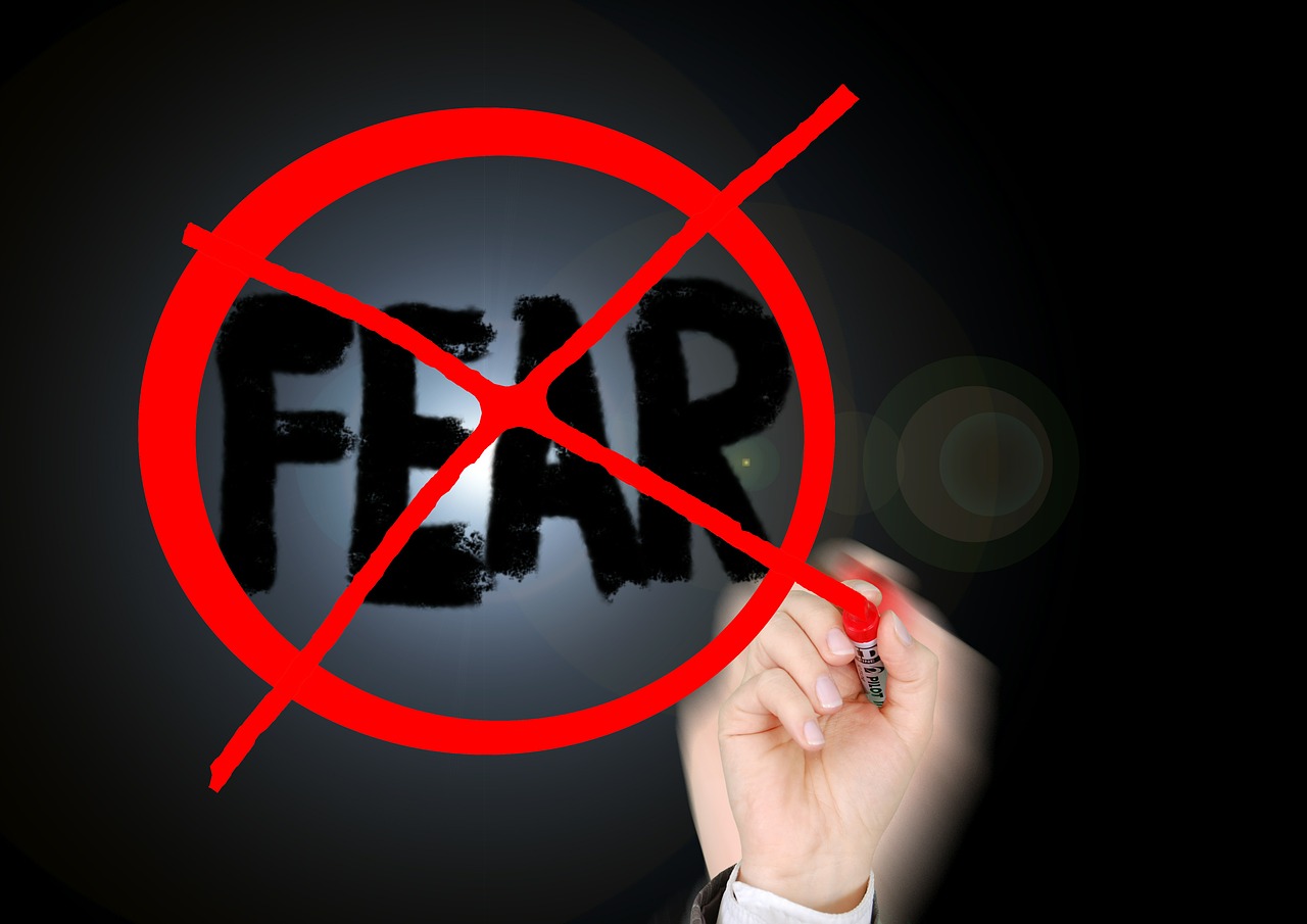 15 Sentences about FEAR - Views