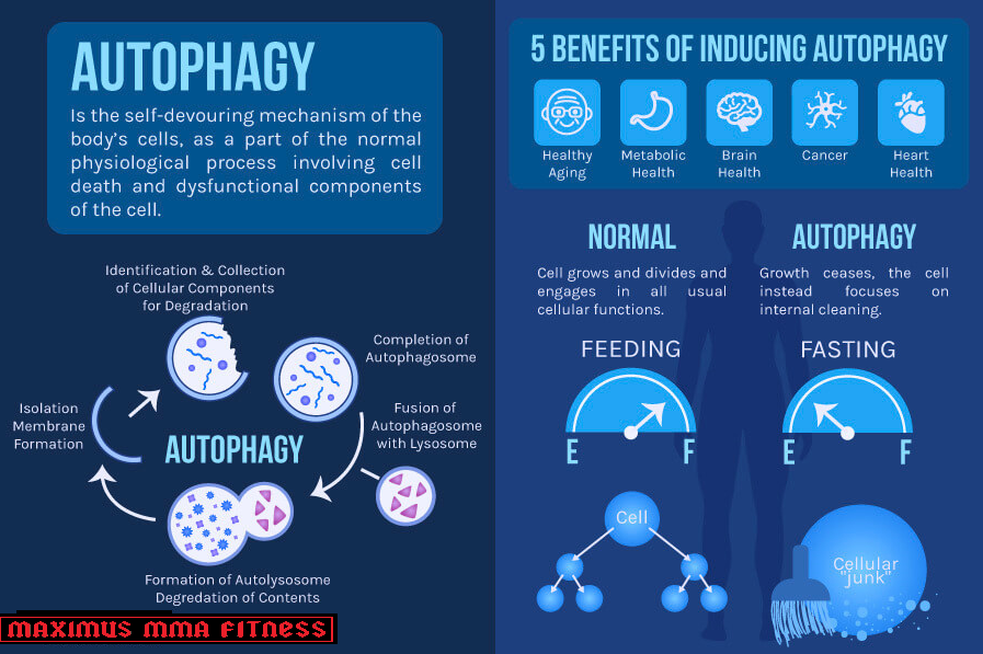The Rock Body Weight Workout: Can Fasting Kill Cancer?