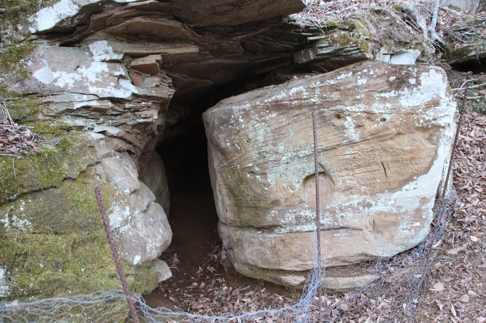 Scott Wolter Answers: Judaculla Rock and the Red Bird Petroglyph
