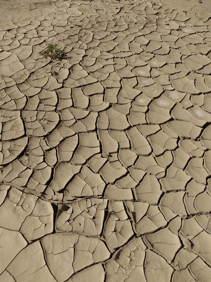 Cerámica Complementaria FDA La Plata: Arcillas y engobes