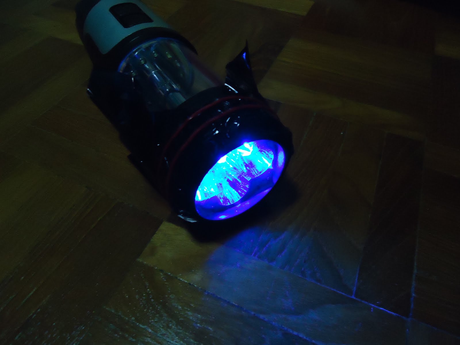 Biology Journal!: SIP (LOOK HERE)