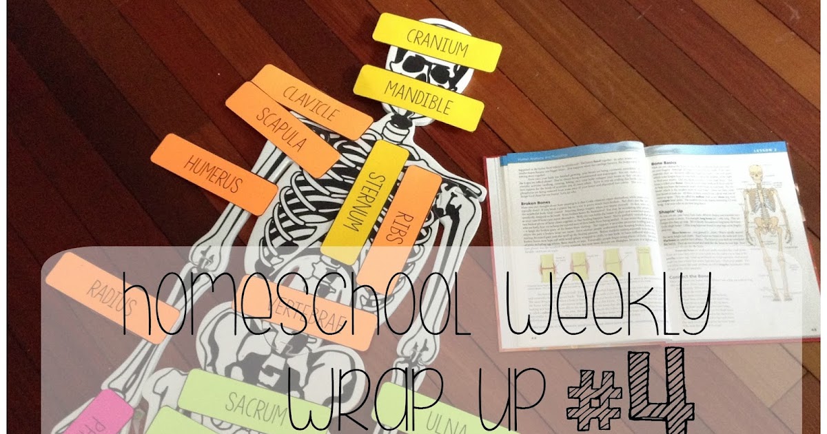 TeacherMomPlus3: Homeschool Weekly Wrap Up