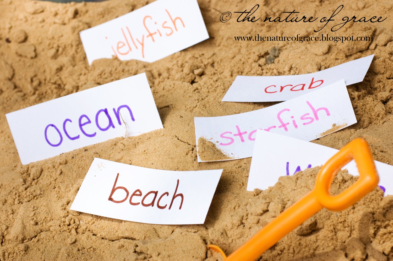 The Nature of Grace: May 2012