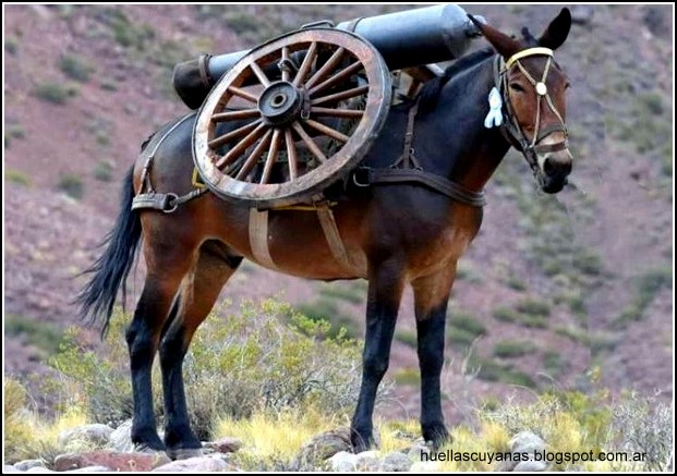 LA MULA | Huellas Cuyanas