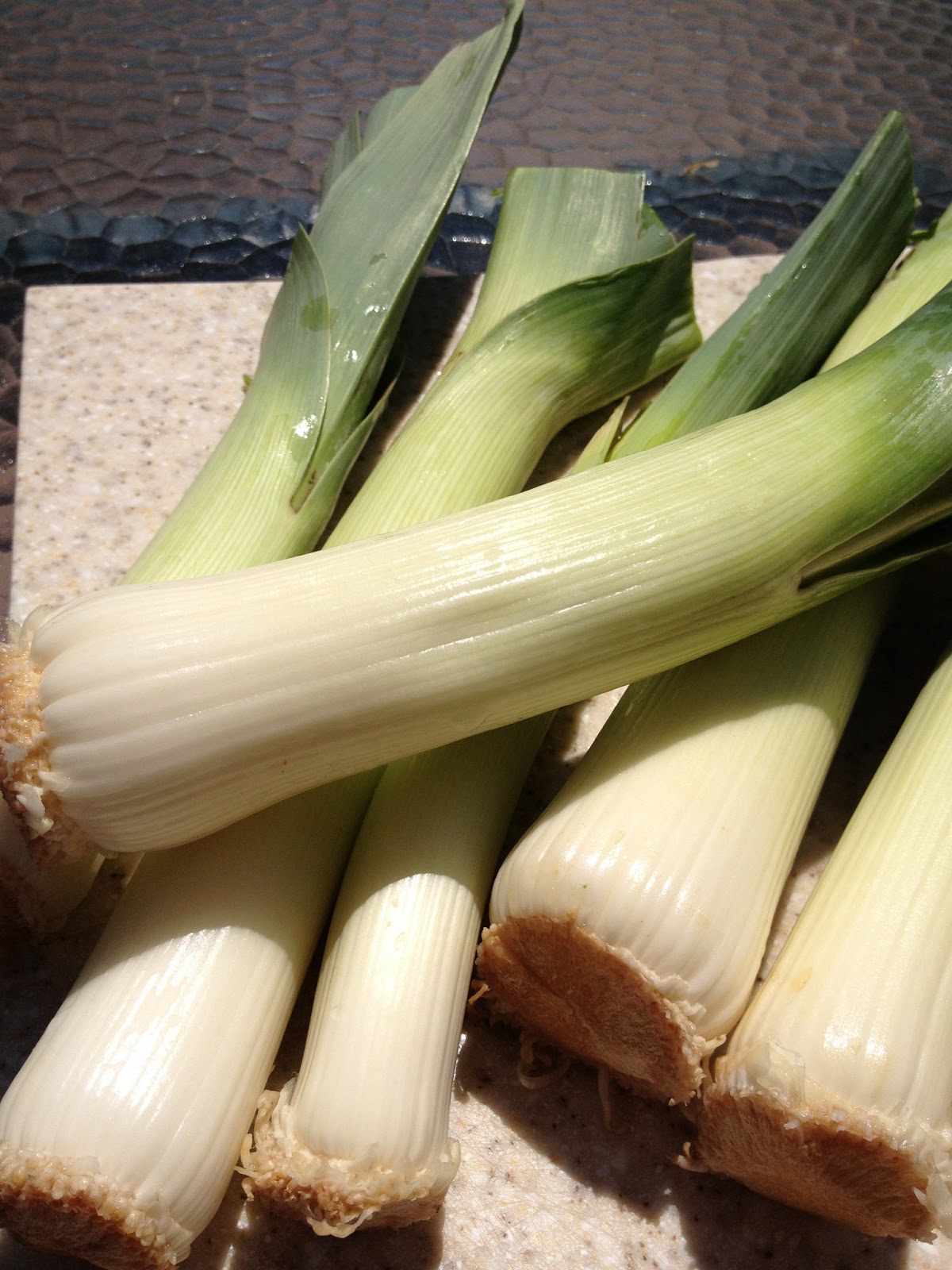 Hot Mama Tarditi's Gourmet-To-Go-Go: April 2013