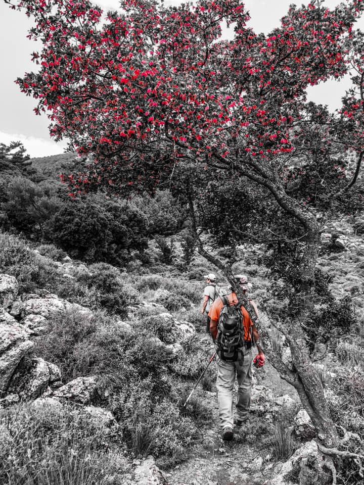 ΟΡΕΙΒΑΤΙΚΟΣ ΣΥΛΛΟΓΟΣ ΑΓΙΟΥ ΝΙΚΟΛΑΟΥ: ΠΕΖΟΠΟΡΙΑ ΣΤΑ ΜΙΝΩΙΚΑ ΜΟΝΟΠΑΤΙΑ ...
