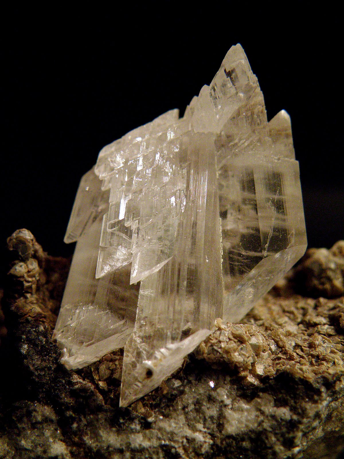 Galería de imágenes: septiembre 2011