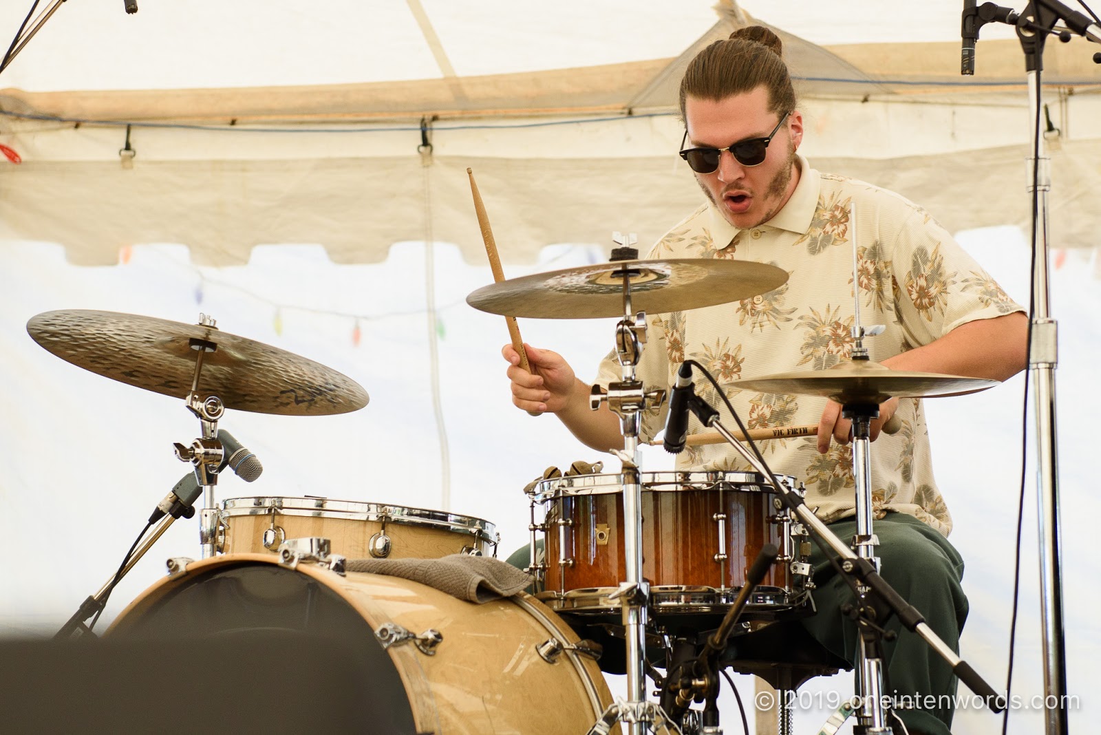 one in ten words: Hillside 2019: Day 3: Common Holly - Concert Photos