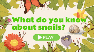 Snails game
