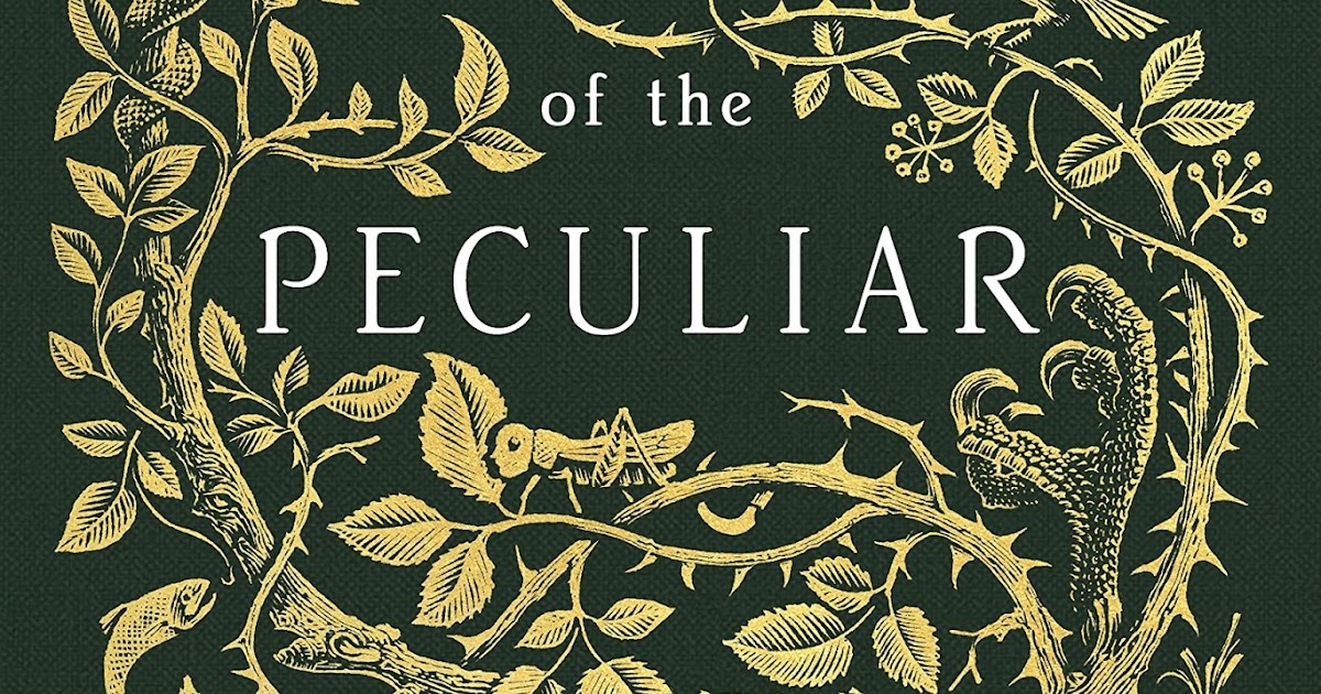 Mr Ripley's Enchanted Books: Ransom Riggs - Tales of the Peculiar ...