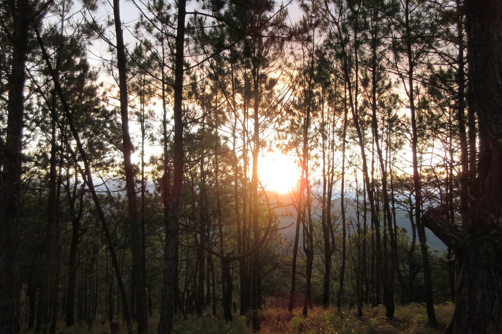 Adventure in Mt. Ulap - The Wandering Juan