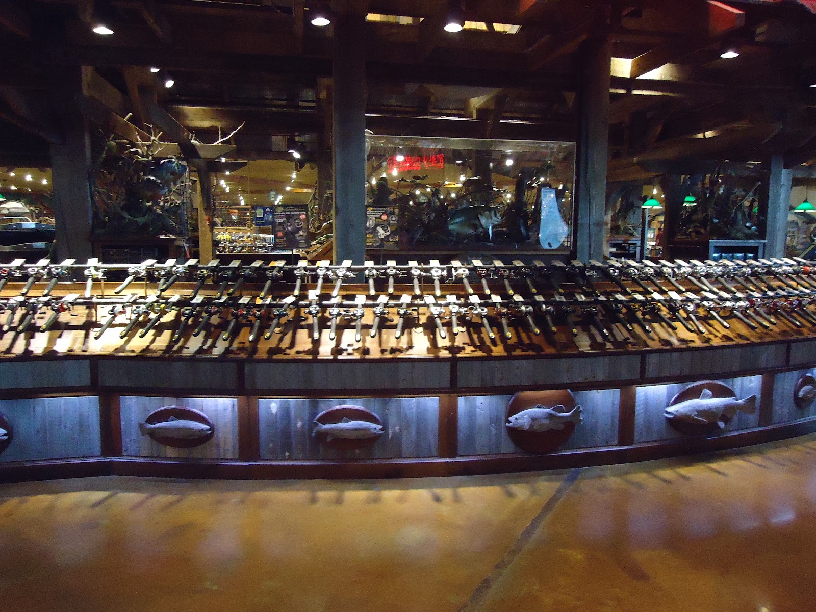 My Springfield Mommy: Bass Pro Shops Outdoor World Springfield, MO