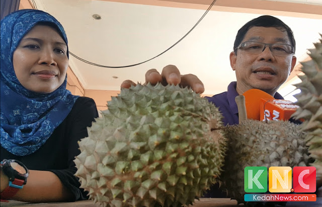 Berita TV Malaysia: Duri Hitam Vs Musang King Yang Mana Lebih Sedap