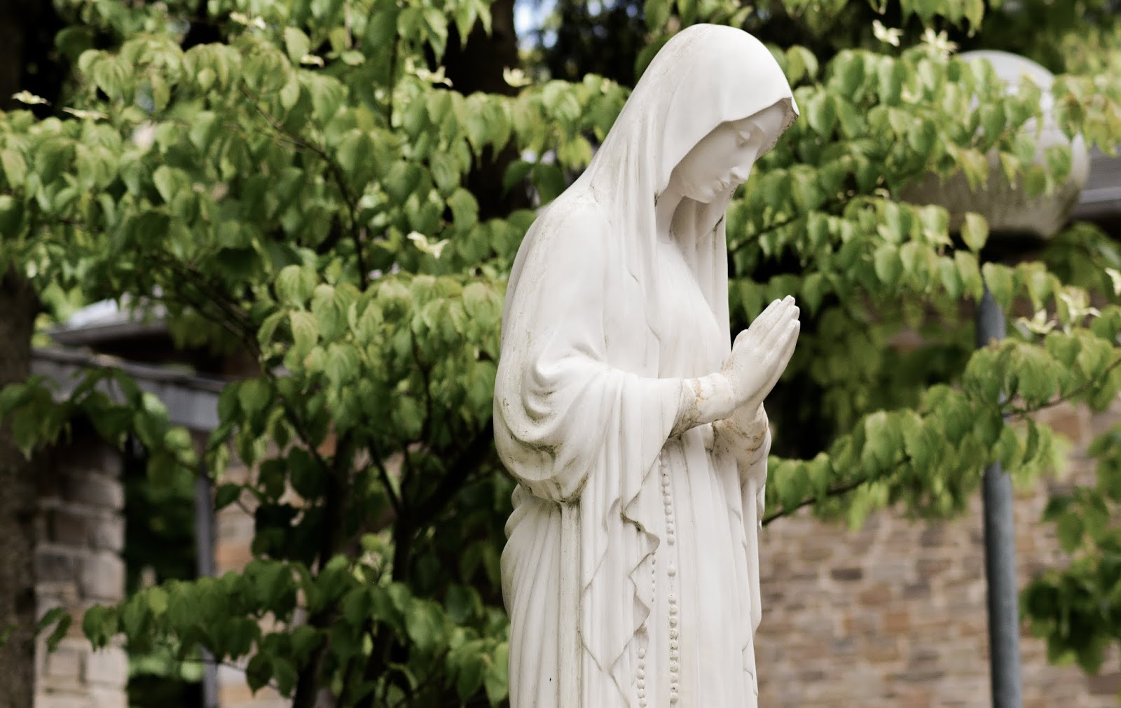 Novena Milagrosa Maria passa na frente - A simple blogger catholic