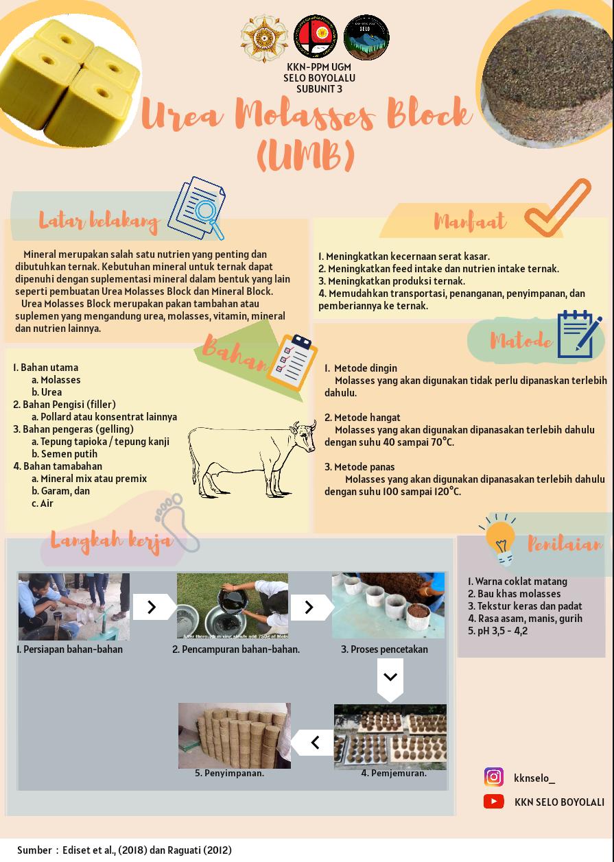 PEMBUATAN UREA MOLASSES BLOCK (UMB) - PEMDES KLAKAH
