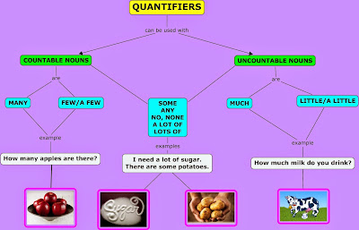Primary Colours: Quantifiers exercises to practice
