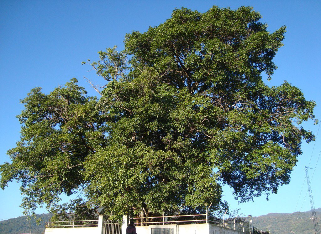 About the Cloud People