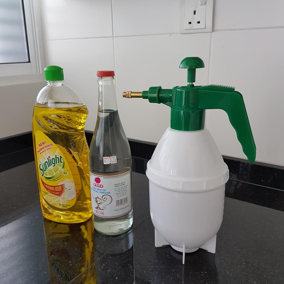 Sembur sekali, seminggu kemudian rumput mati & mudah dicabut - 19,663 ...