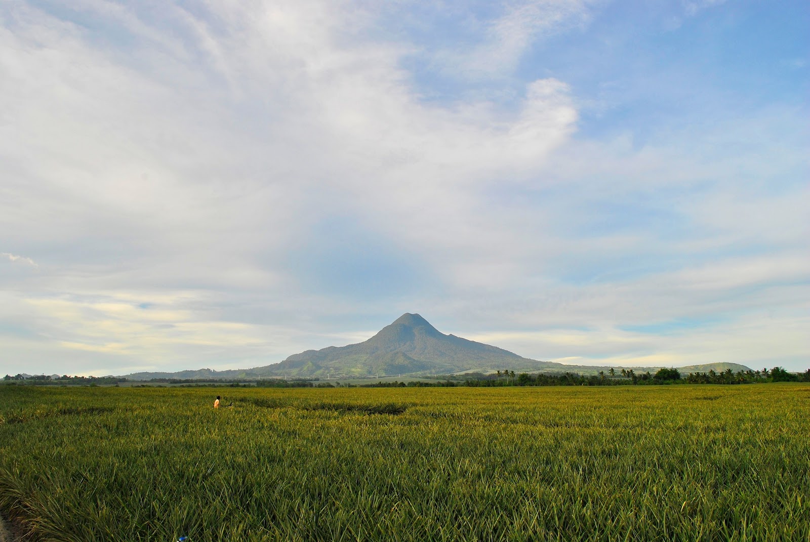 Regin's Travels: DOLE Kalsangi Clubhouse: An Elusive Village in Mindanao