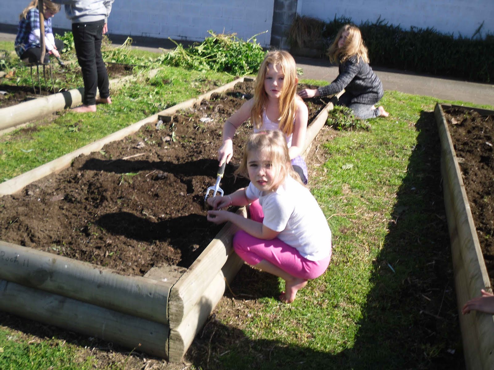 Our School Vege Garden Project: The Big Clean Up