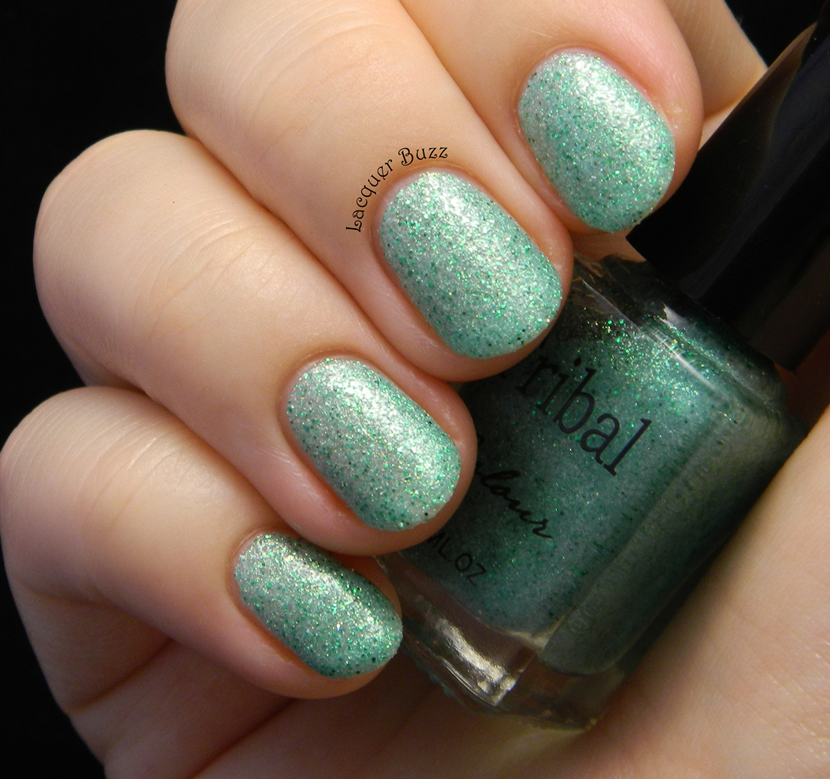 Lacquer Buzz: Born Pretty Store Textured Nail Polish Review