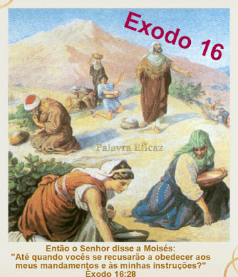 Palavra Eficaz : Maná todos os dias: Êxodo 16