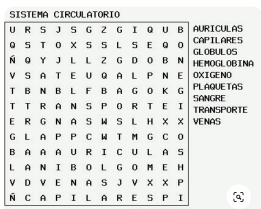 Sopa De Letras Sistema Circulatorio