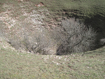 Peace of Tau: Subasio Mortari