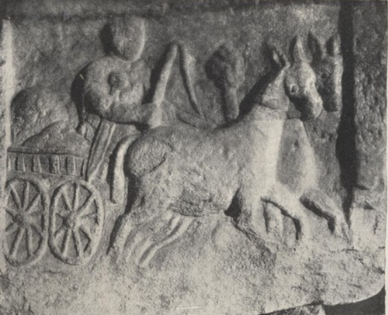 Mulas en el ejército romano