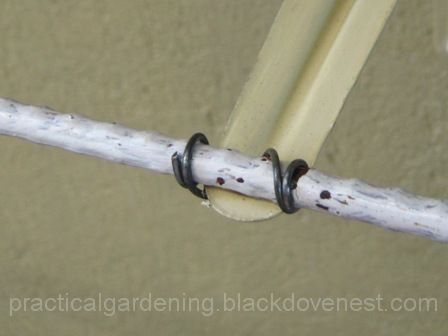 Practical Gardening: Wall-Mounted Rod for Hanging Baskets
