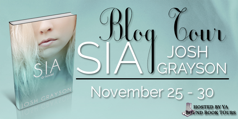 What's Beyond Forks?: Tour! A Review of Sia by Josh Grayson