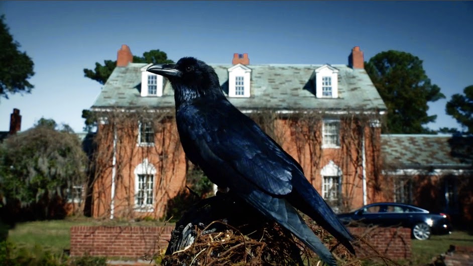 Cymbeline Family Tree