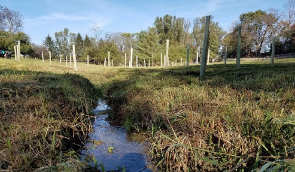 PA Environment Digest Blog: Penn State Extension: Making Riparian ...