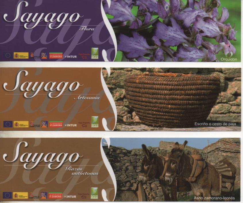 MONDOPUNTS: SAYAGO (Castilla y León)