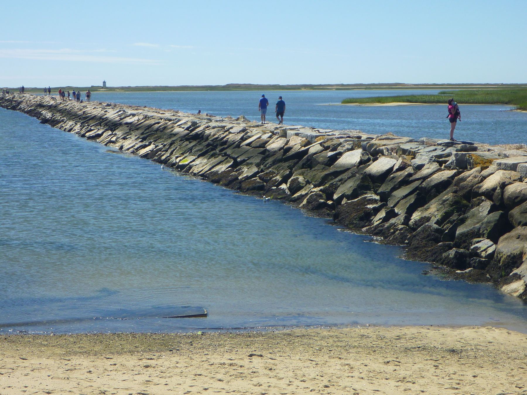 Trailing Ahead: Hiking to Long Point, the place of a short-lived community