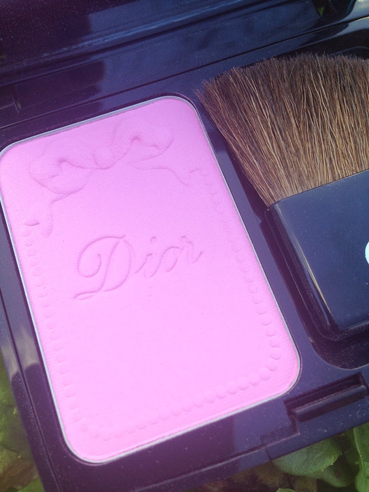 Dior Trianon DiorBlush in Pink Reverie