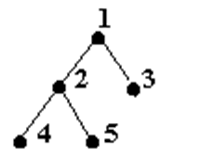 Arbori: Clasificarea arborilor binari