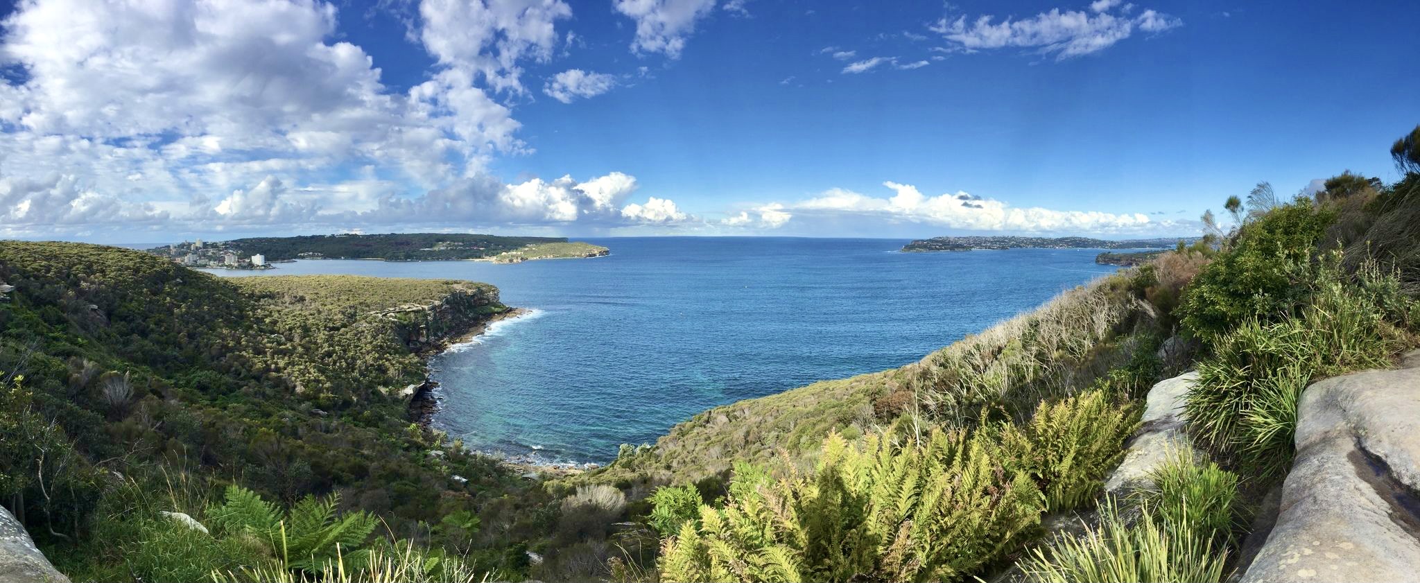 Spit Bridge to Manly Walk