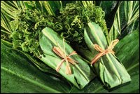 My Rawsome Life!: Pohole Ferns: Available to You!