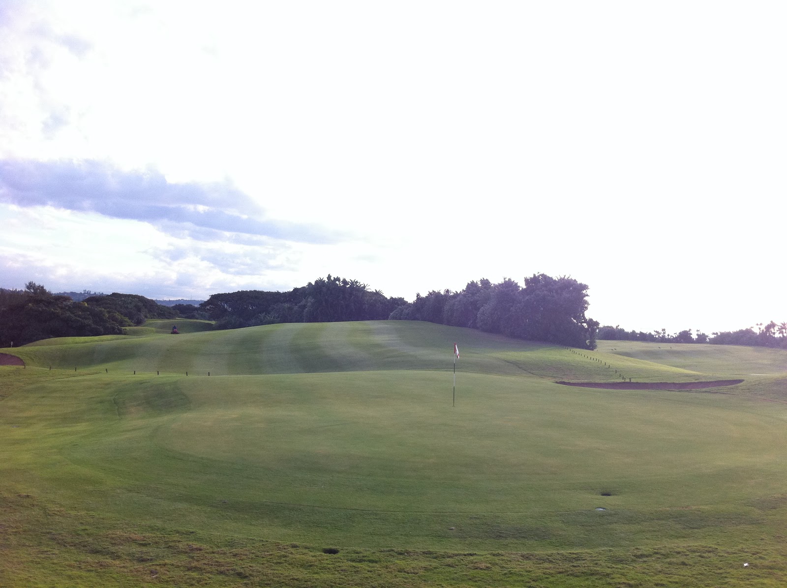 Durban Country Club Golf Course: Poa Annua "Winter grass"