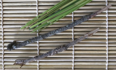 Exploring Biblical Places and Times