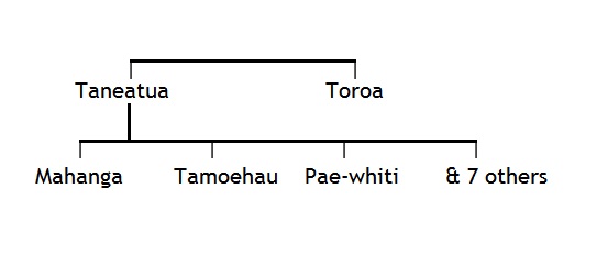 Te Whare Korero o Maahanga : Mahanga Tainui - Mahanga Tuhoe
