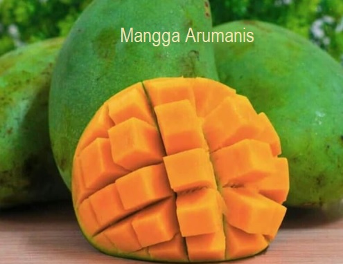 Anim Agro Technology: TANAMAN MANGGA ARUMANIS DI INDONESIA