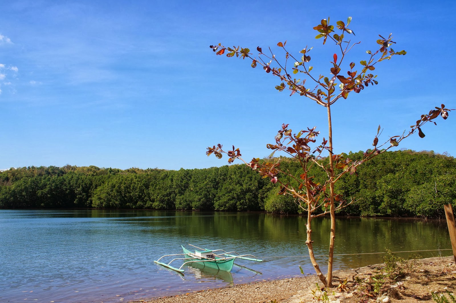 My Sweet Escape To: Calauit Island, Palawan, Philippines