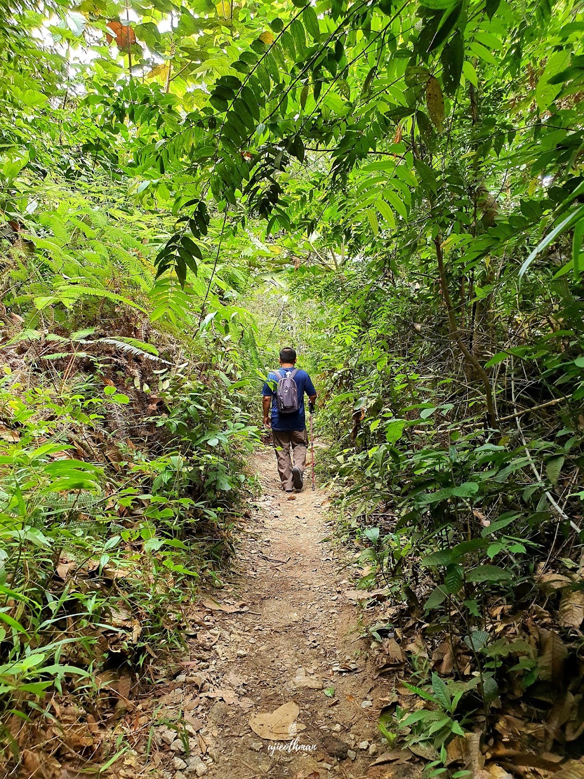 Titian Perjalanan : Taman Rimba Bukit Mertajam | Bukit Cherok Tokun