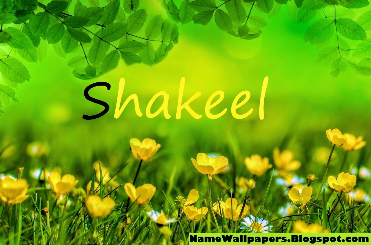 Shakeel Name Wallpapers Shakeel ~ Name Wallpaper Urdu Name Meaning Name ...