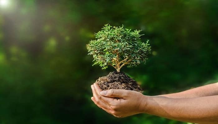 MI MUNDO ECOLÓGICO: FACTORES ECOLÓGICOS