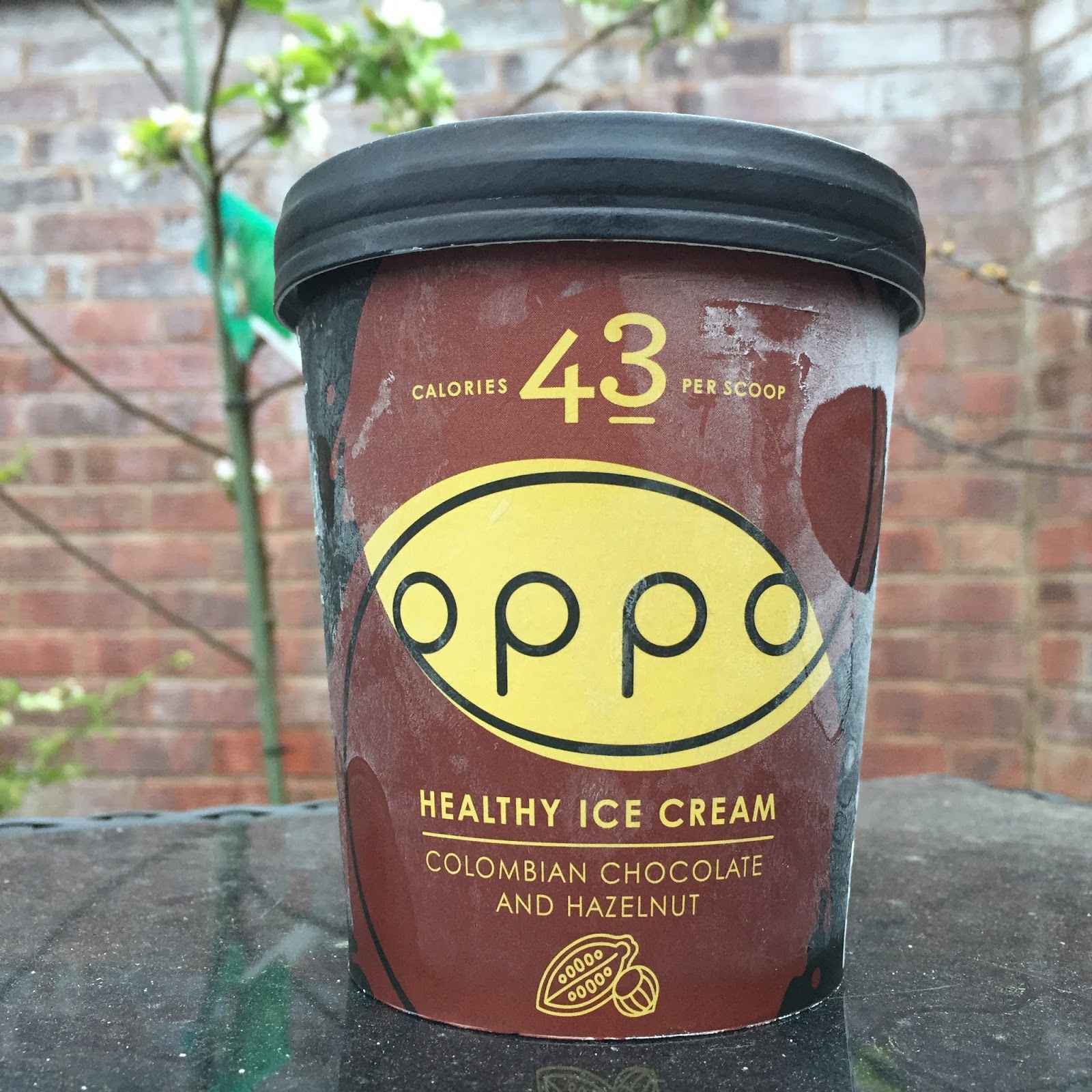 Archived Reviews From Amy Seeks New Treats: NEW! OPPO Chocolate ...