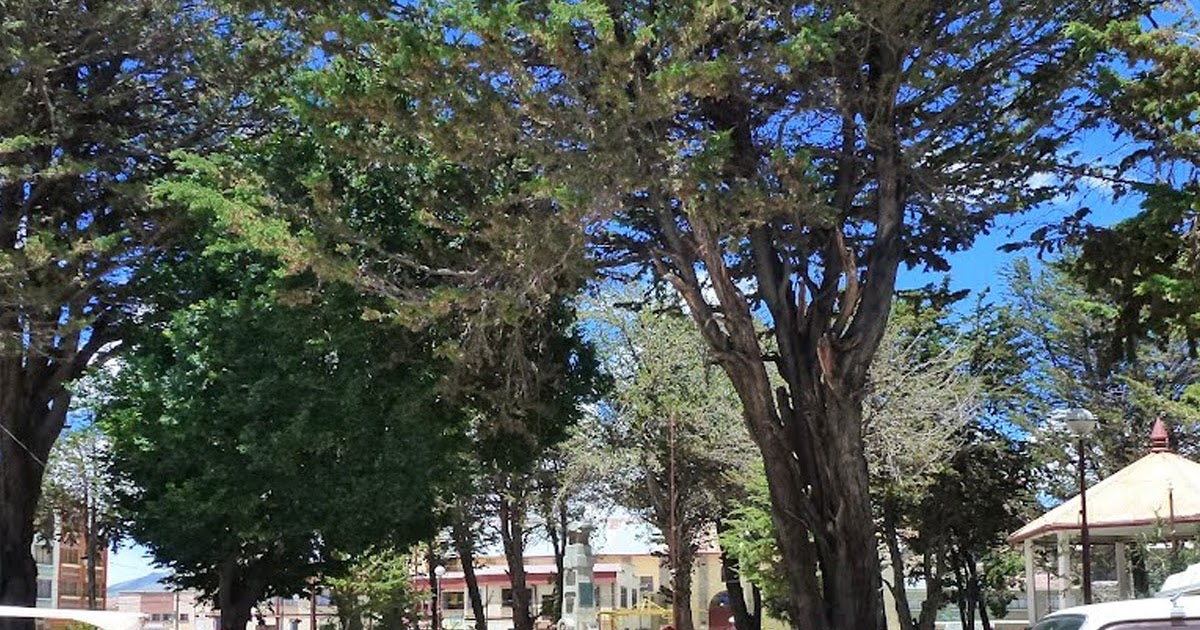 La Paz Bolivia - La Paz del Bicentenario: Destinos turisticos Poblacion ...